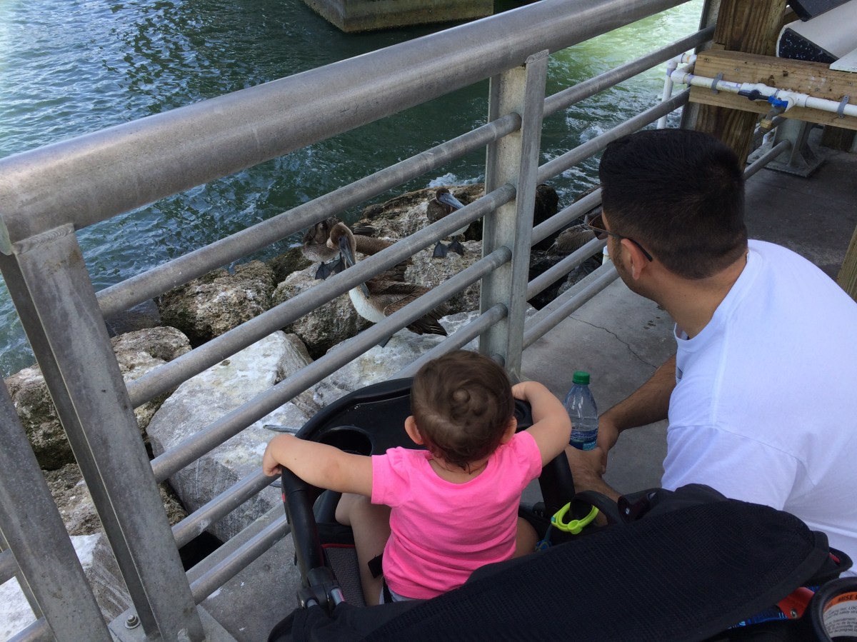 One Week – Erica Roman Blog